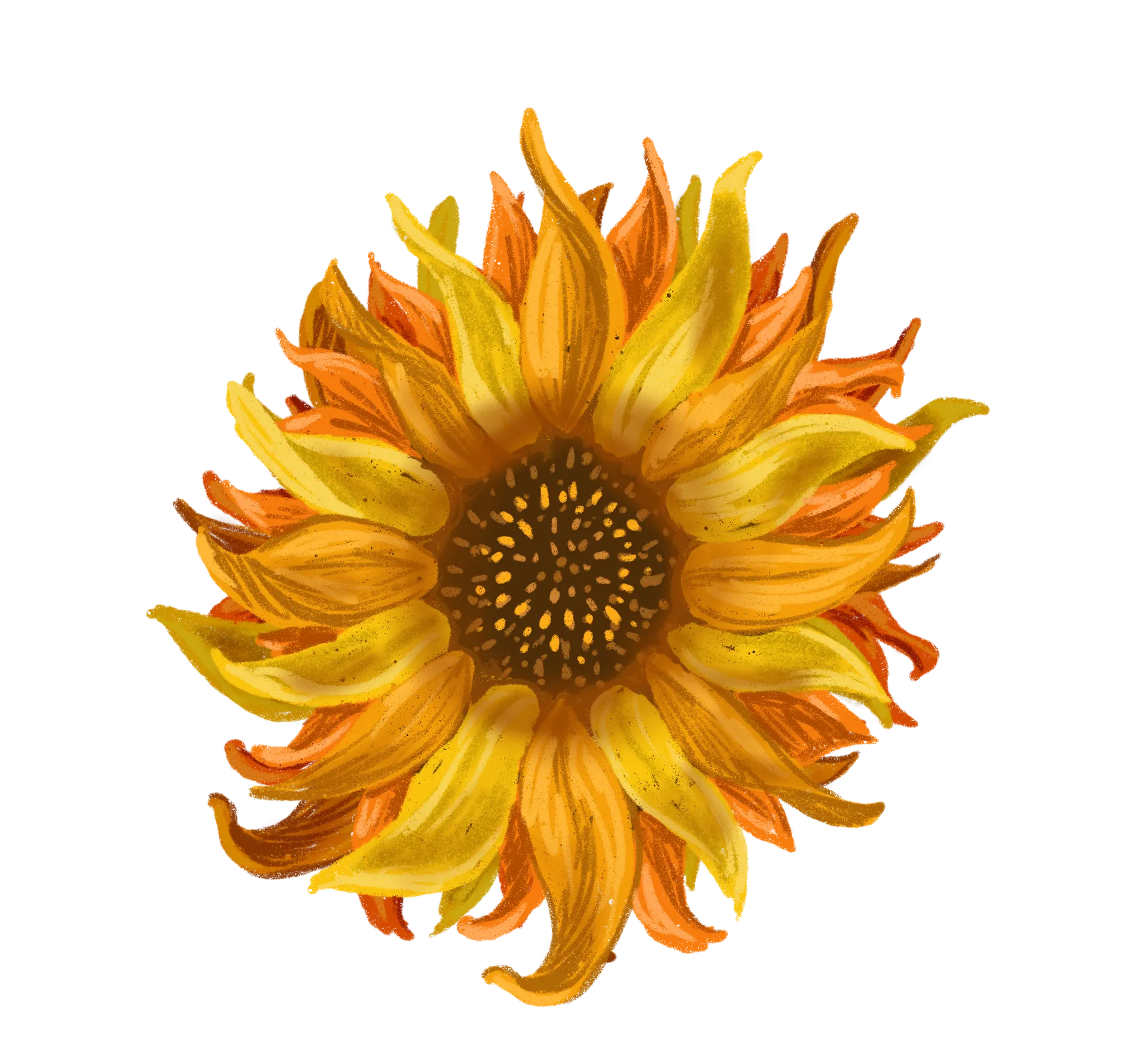 Published & Listed (PAL) Members | Kansas, Missouri (KS/MO) – SCBWI